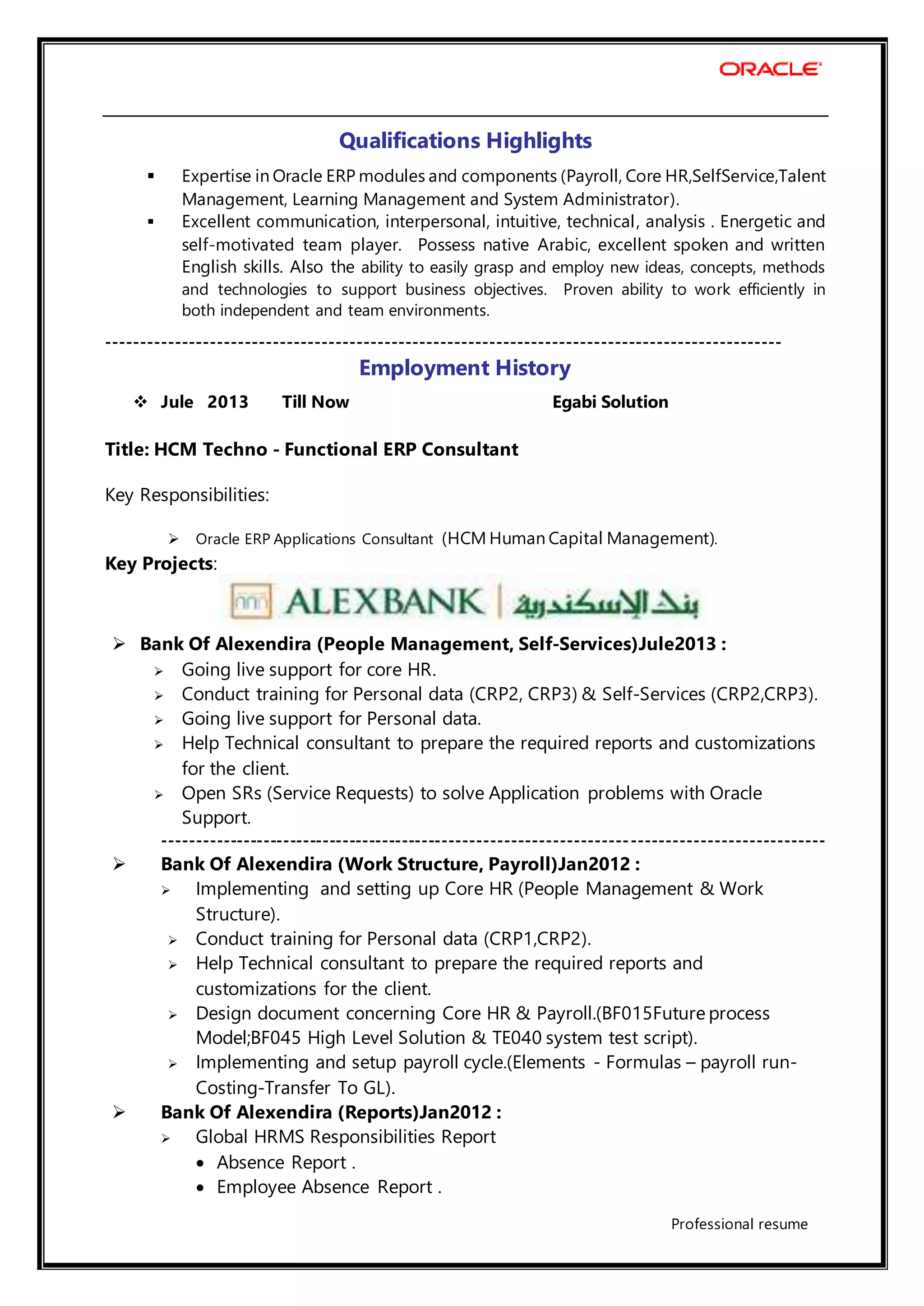 Mostafa Wael Farouk -Techno-Functional | PDF