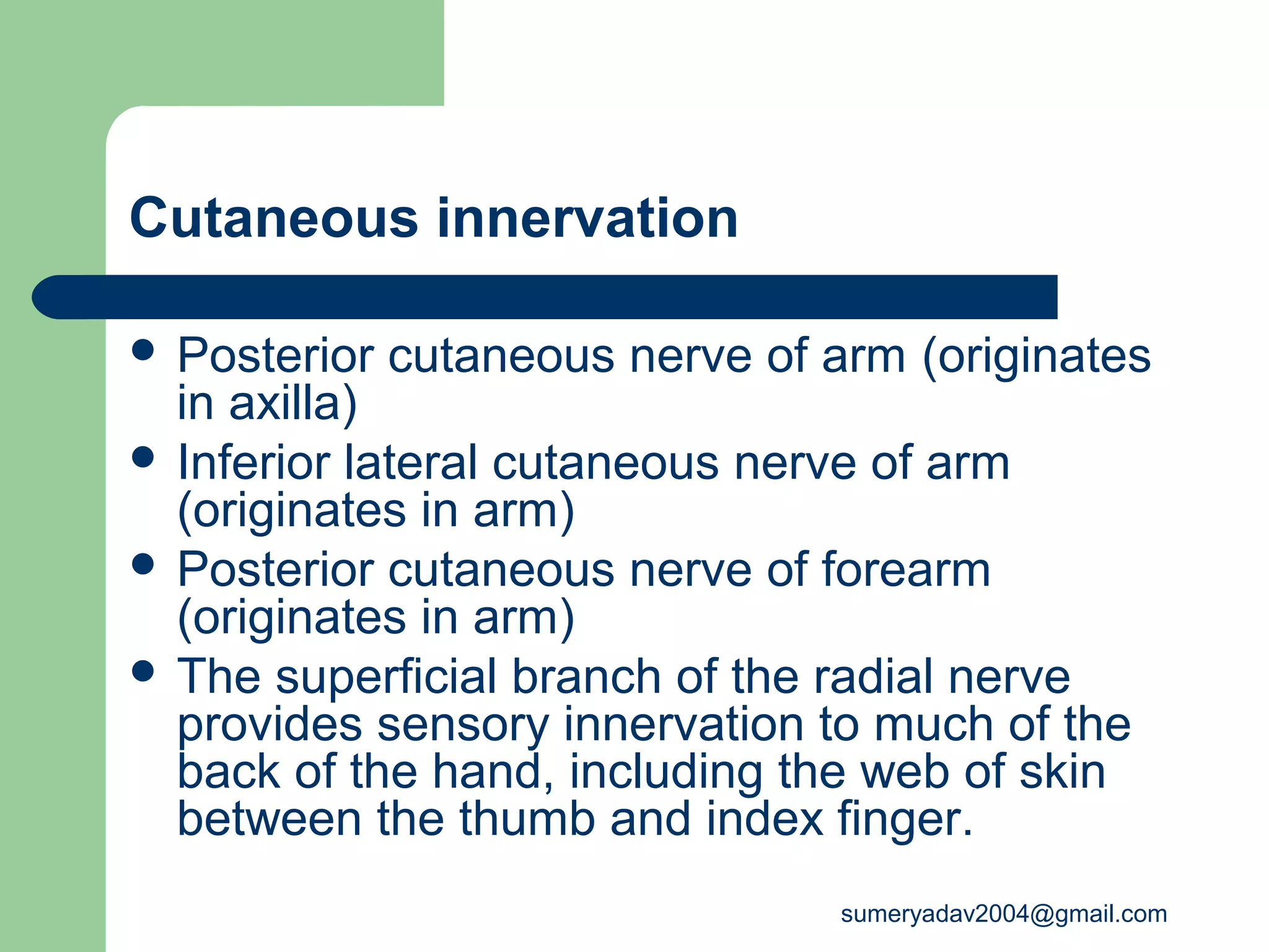 radial nerve palsy | PPT