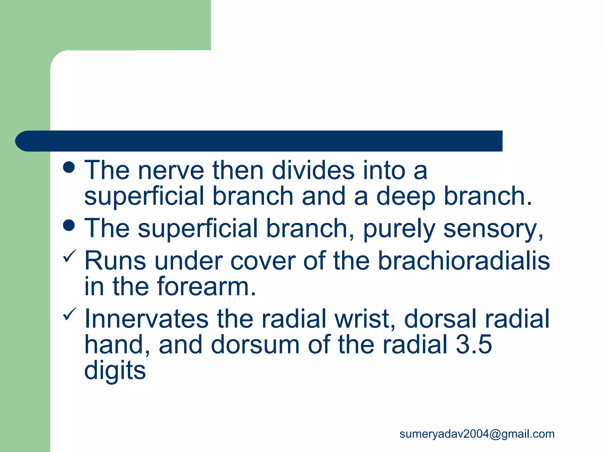 radial nerve palsy | PPT