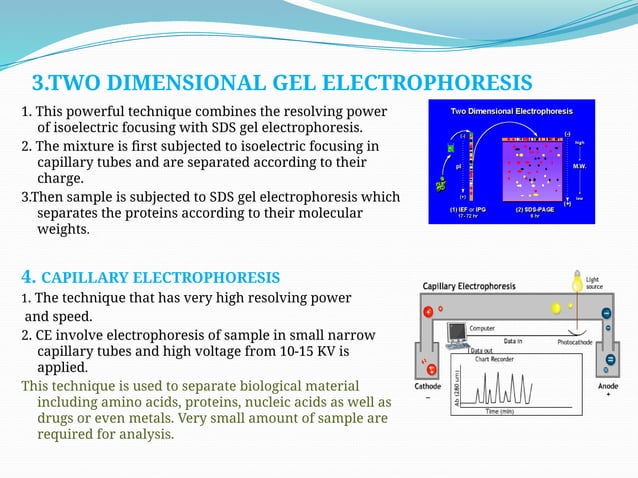 Electrophoresis techniques and its types.ppt | Chemistry | Science