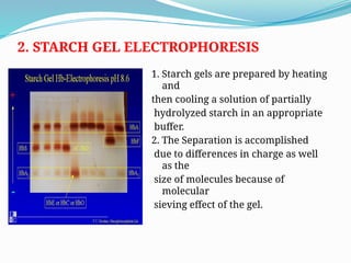Electrophoresis techniques and its types.ppt | Chemistry | Science