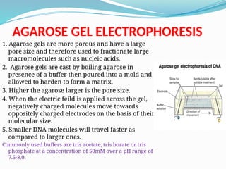 Electrophoresis techniques and its types.ppt | Chemistry | Science