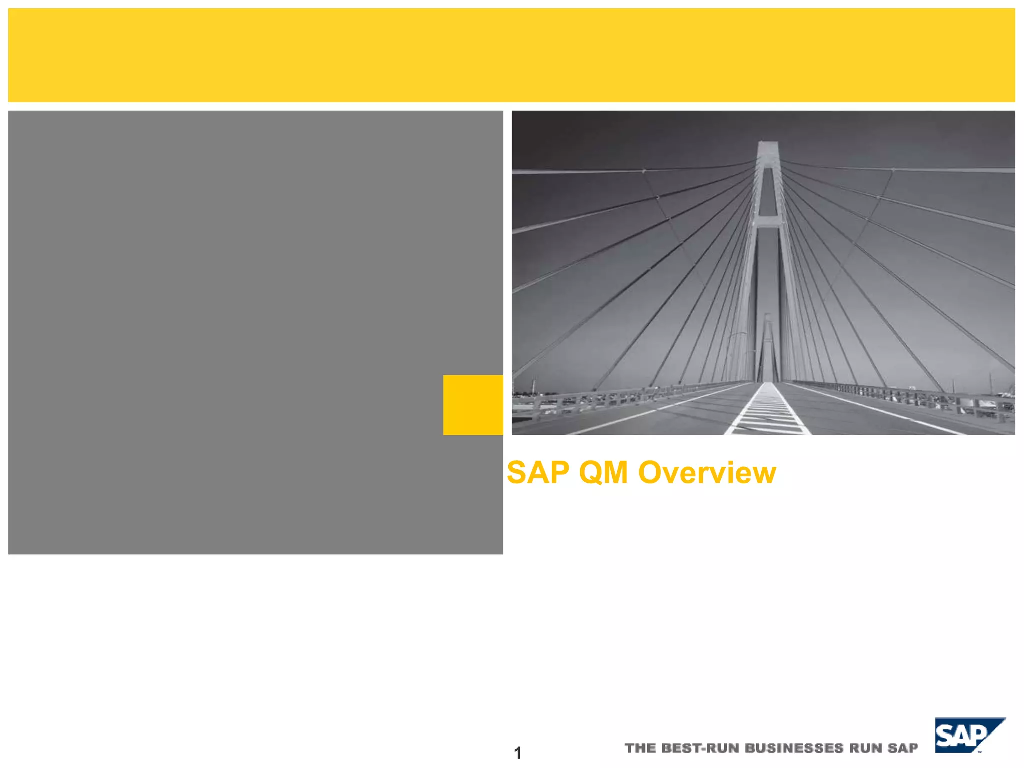 128105951-sap-qm-overview-200205145539.pdf