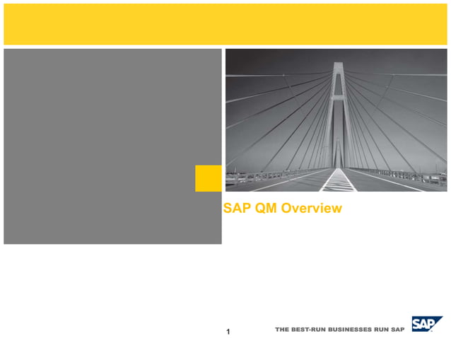 128105951-sap-qm-overview-200205145539.pdf