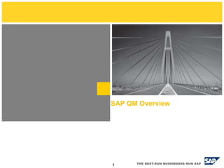sap-qm-overview | PPTX