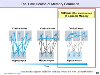 Memory Lecture Psychology Introduction part 1 | PPT