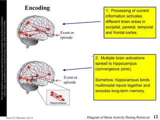 Memory Lecture Psychology Introduction part 1 | PPT