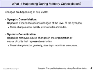 Memory Lecture Psychology Introduction part 1 | PPT