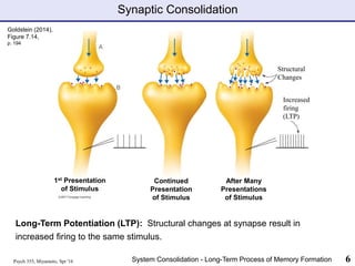 Memory Lecture Psychology Introduction part 1 | PPT | Physical Therapy ...