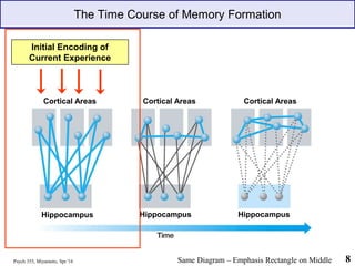 Memory Lecture Psychology Introduction part 1 | PPT