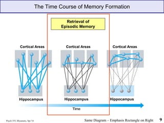Memory Lecture Psychology Introduction part 1 | PPT