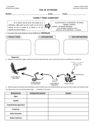 128956242-Guia-Cadena-Alimenticia.docx