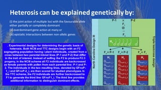 128 ASSIGNMENT 1 | PDF