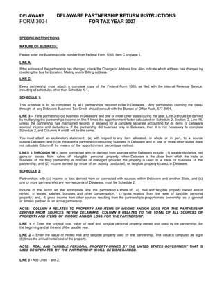 Form 300i Delaware Partnership Instructions | PDF