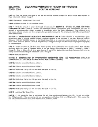 Form 300i Delaware Partnership Instructions | PDF