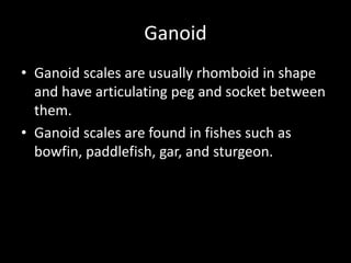 129506090000000000000000000000000000.ppt