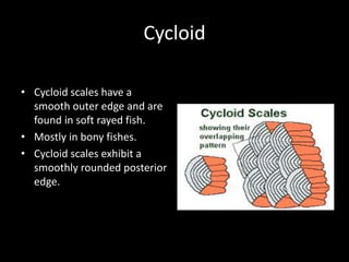 129506090000000000000000000000000000.ppt