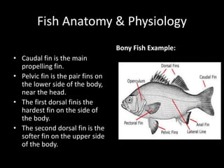 129506090000000000000000000000000000.ppt