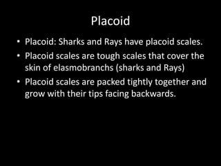 129506090000000000000000000000000000.ppt