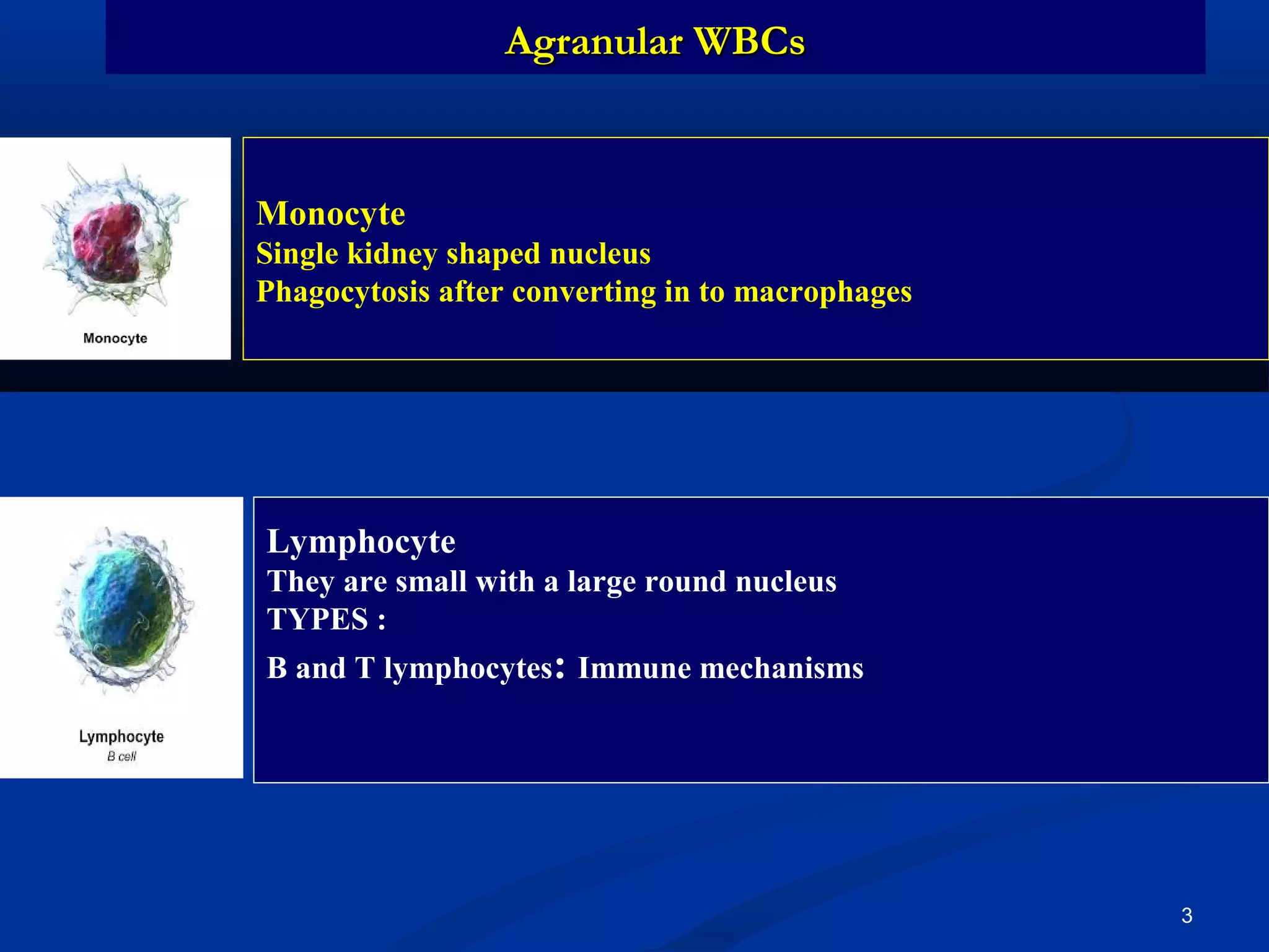 types of WBC | PPT | Blood Disorders | Diseases and Conditions