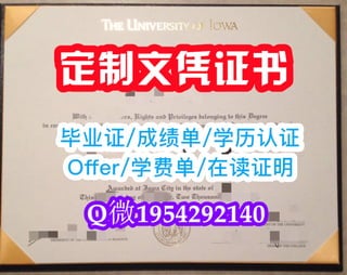一比一原版(Offer)英属哥伦比亚大学毕业证|ubc文凭学历认证定制 | PPT