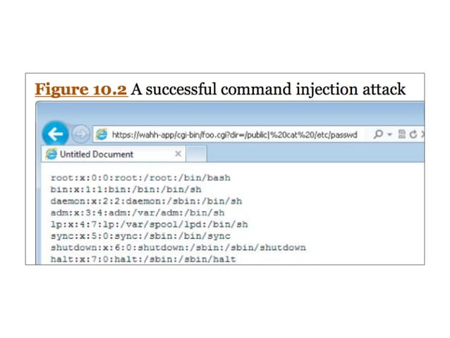 Ch 10: Attacking Back-End Components | PPT