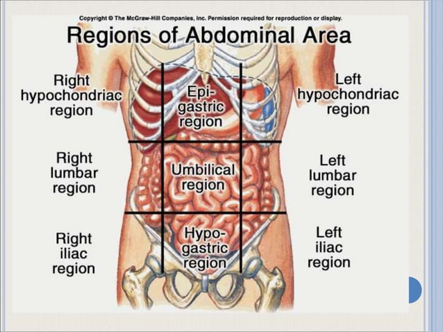 12a. Akut Abdomen.ppt