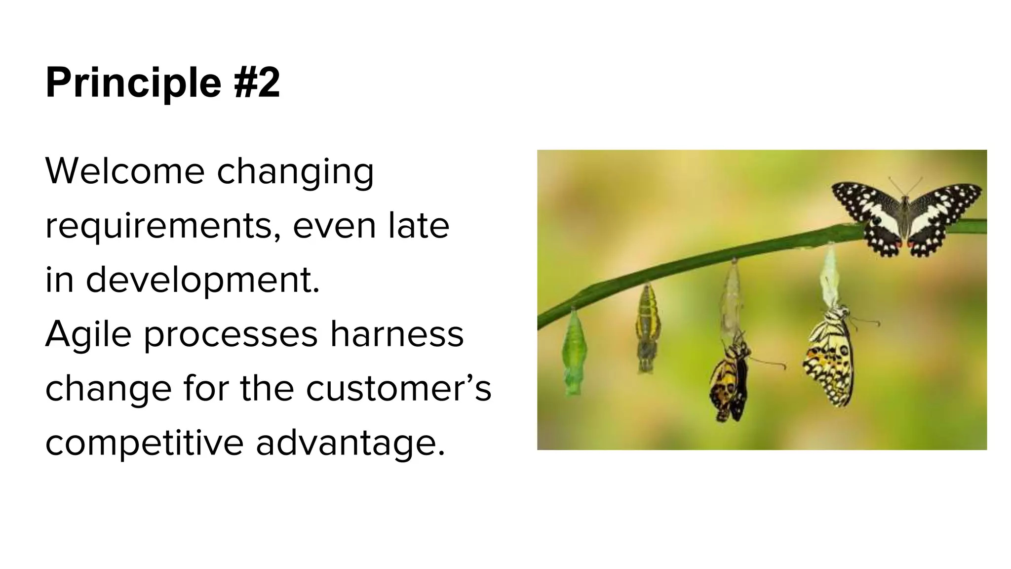 12 agile principles | PPT