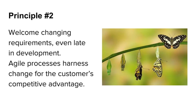 12 agile principles | PPT