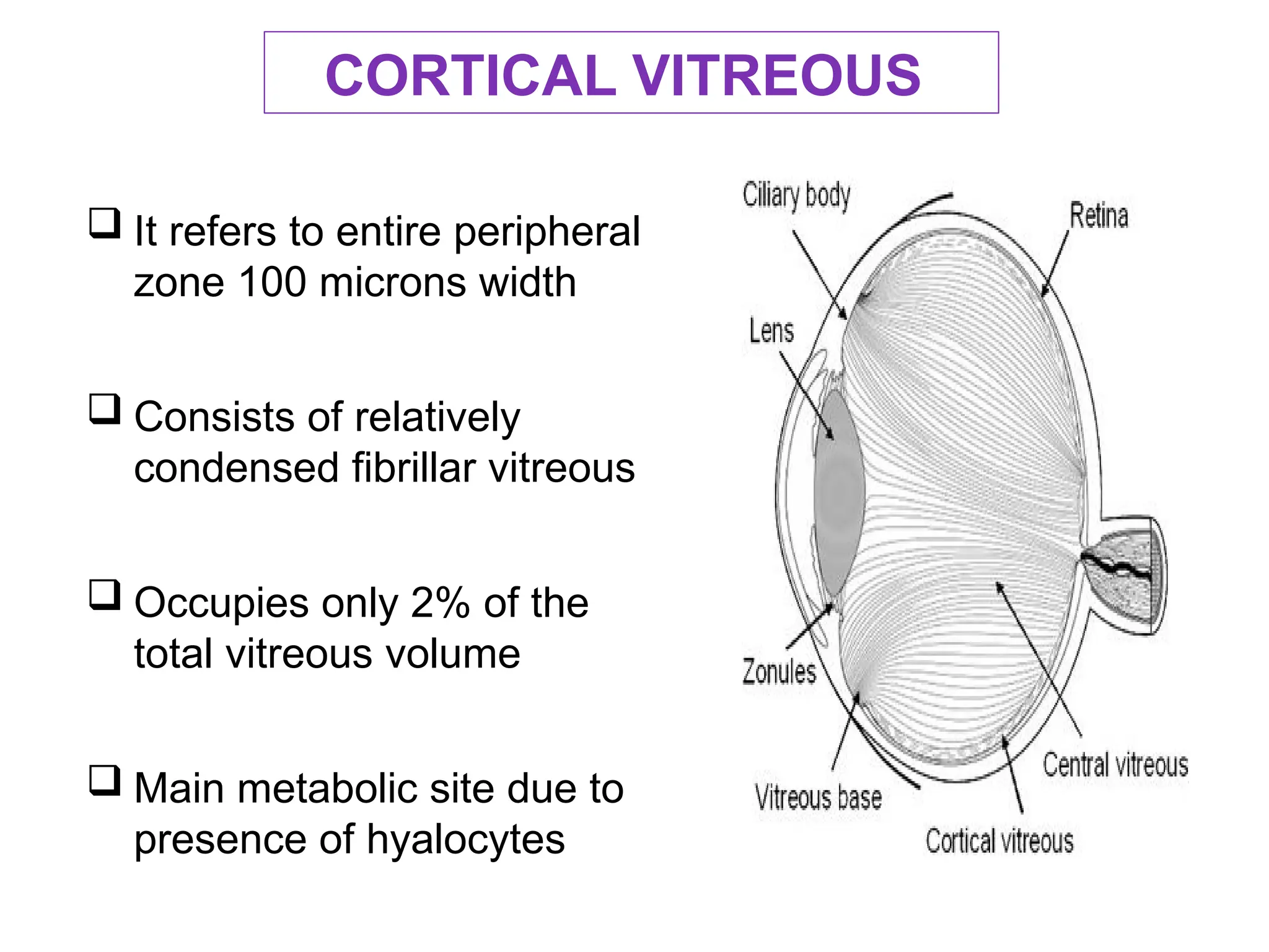 Anatomy and physiology Vitreous ppt final.pptx