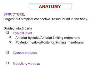 Anatomy and physiology Vitreous ppt final.pptx
