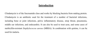 Clindamycin | PDF