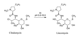 Clindamycin | PDF