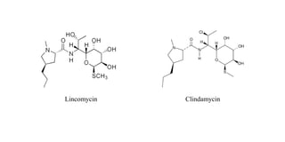 Clindamycin | PDF