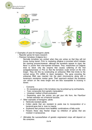 application of recombinant dna technology | DOC