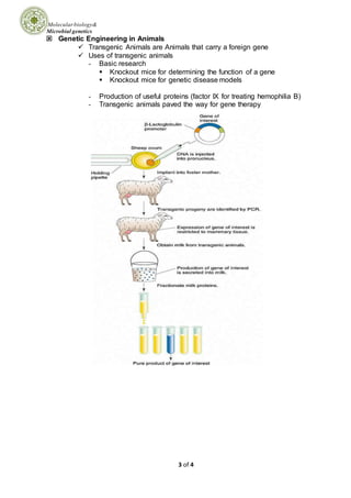 application of recombinant dna technology | DOC