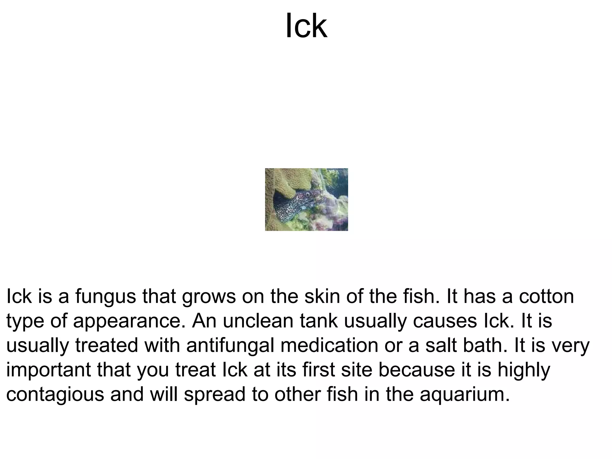 Aquarium Fish Diseases And The Treatments | PPT
