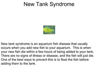 Aquarium Fish Diseases And The Treatments | PPT
