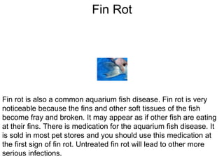 Aquarium Fish Diseases And The Treatments | PPT