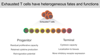 Targeting T cell exhaustion | PPTX