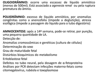 12ª aula Anexos embrionários e placenta.pdf