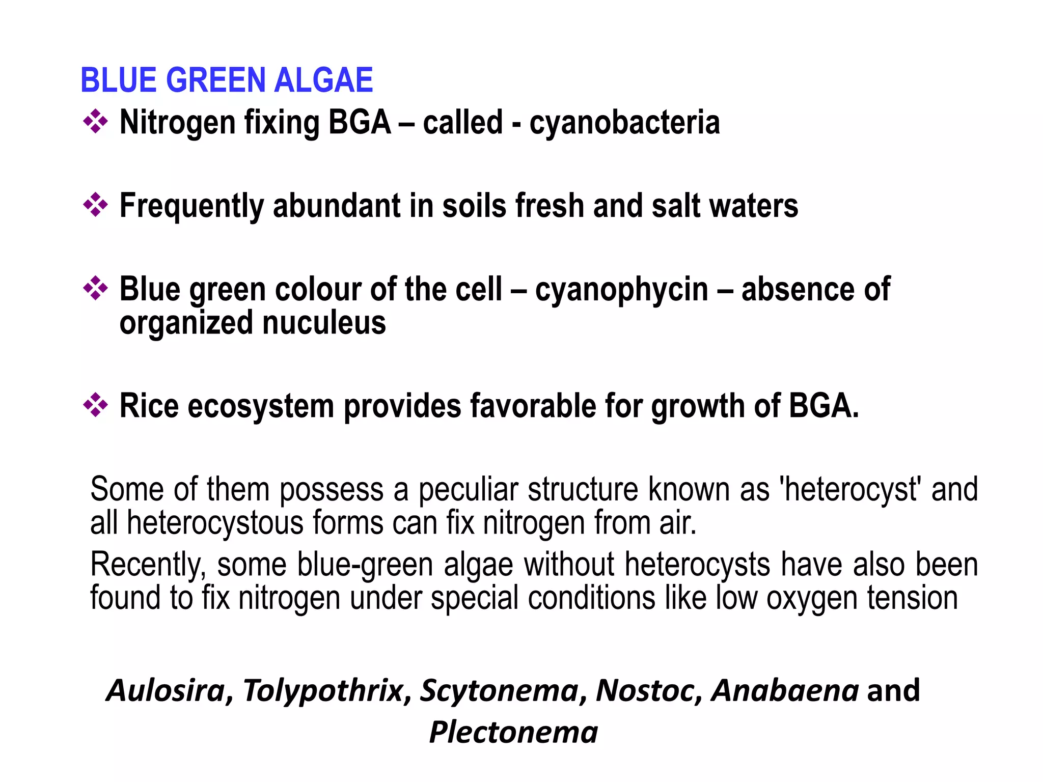 Azolla | PPT