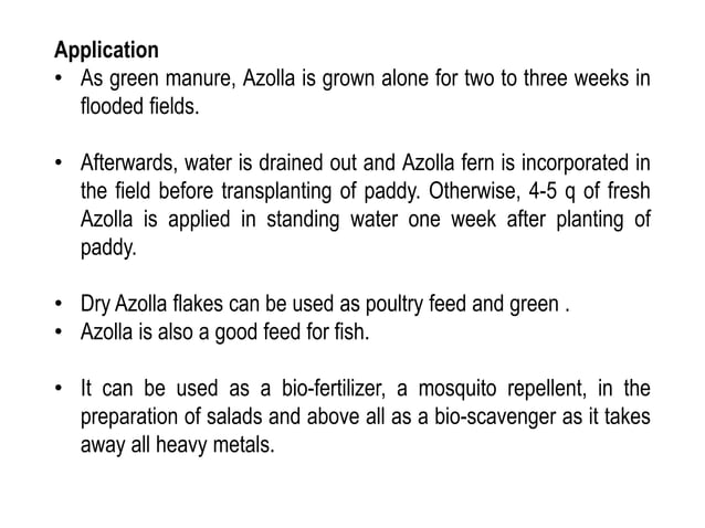 Azolla | PPT | Agriculture | Industries