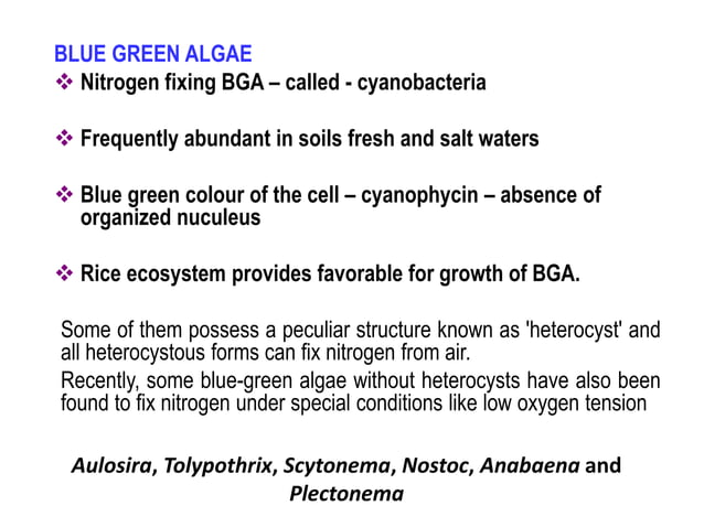 Azolla | PPT | Agriculture | Industries