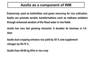 Azolla | PPT