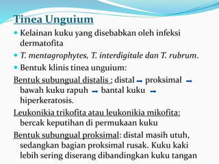 12b. DERMATOFITOSIS 2014.ppt