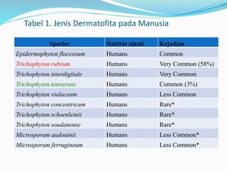 12b. DERMATOFITOSIS 2014.ppt