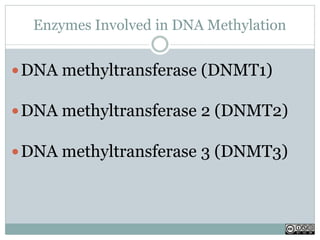 12b. Epigenetics and Inheritance, Part 2- PowerPoint.pptx