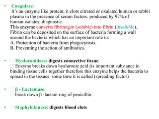 1+2 bacteria 1.pdf