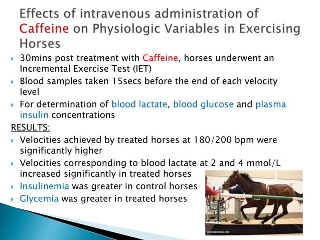 Anti-Doping in Performance Horses | PPTX
